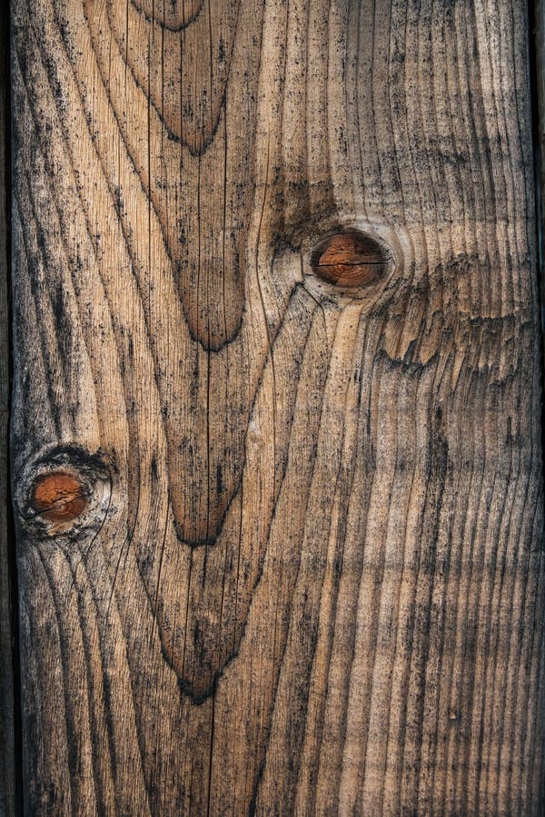 Graphic of Wood Cabin and Trees Stock Photo - Image of roof, scenic ...