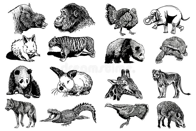 Graphical Big Set of Animals Isolated on White Background,vector ...