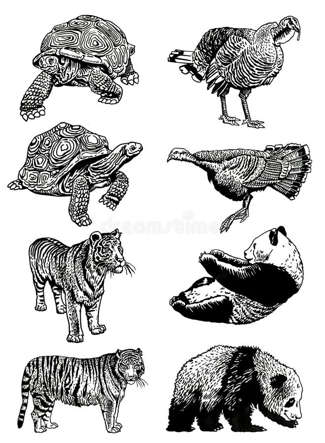 Graphical Big Set of Animals on White,vector Illustration Stock Vector ...