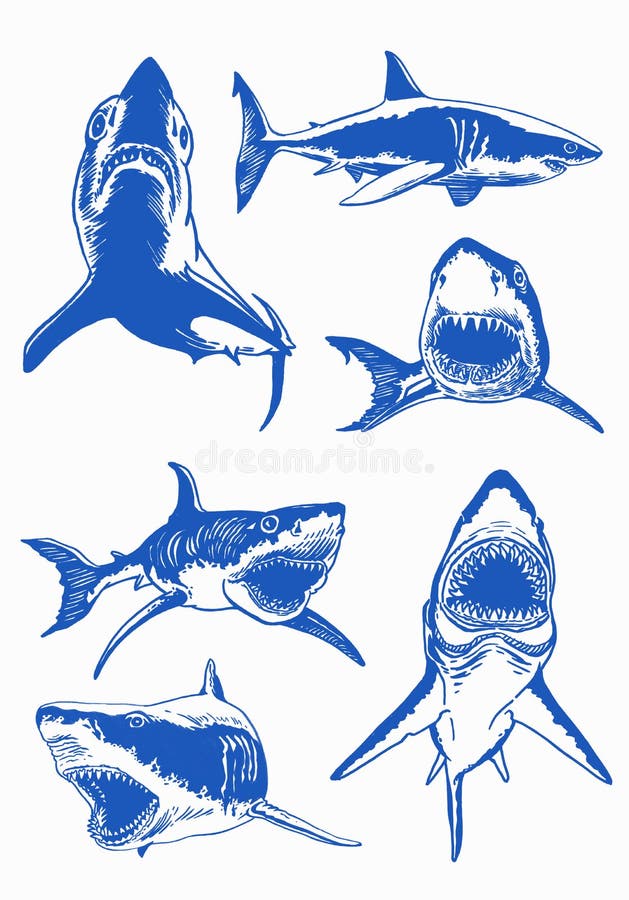 Graphical Big Set of Blue Sharks and Jaws Isolated on White Background ...
