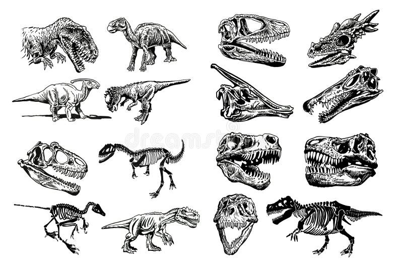 Graphical Big Set of Dinosaurs Isolated on White Background,vector ... Graphical Big Set of Dinosaurs Isolated on White Background,vector ...