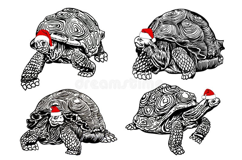 Graphical Christmas Elements , Turtles in Red Santa Claus Hat Isolated ...