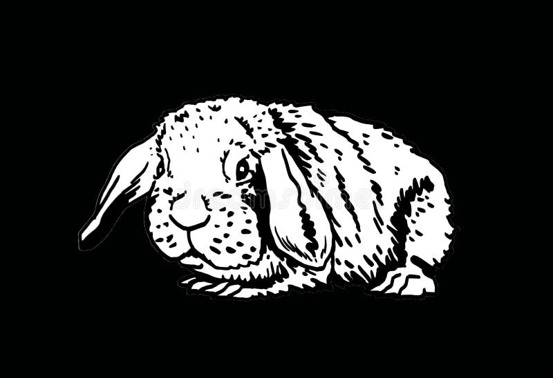Graphical 3d Fat Rabbit on Black Background,vector Illustration Stock ...