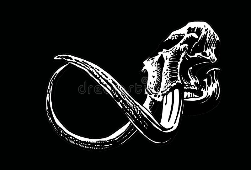 Graphical 3D Skull of Mammoth Isolated on Black Background, Vector ...
