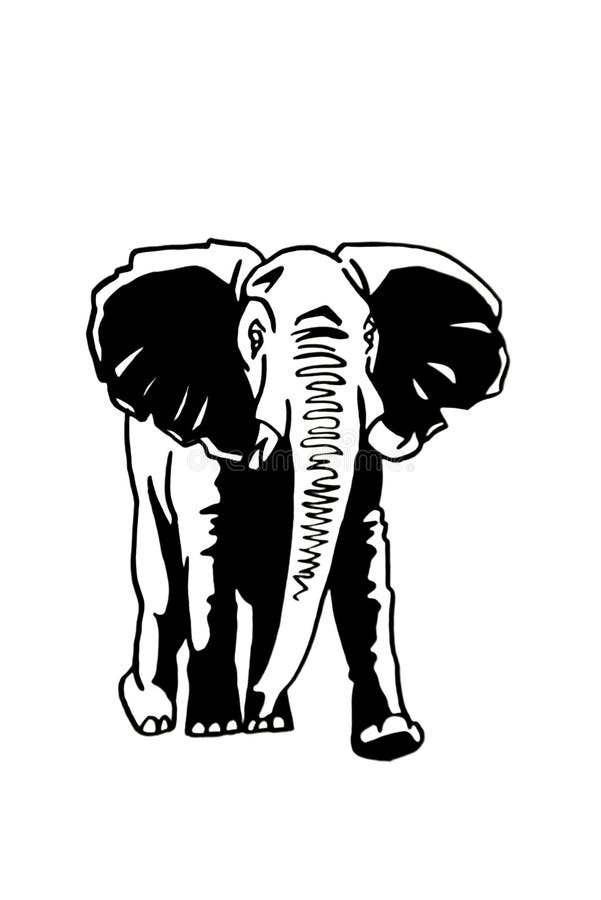 Graphical Elephant Walking on White Background, Vector Illustration ...