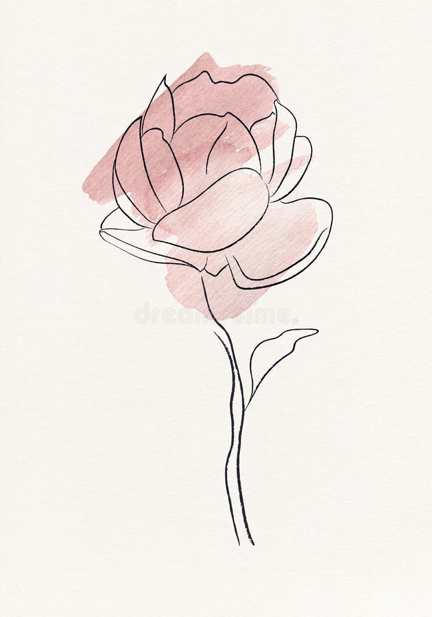 Graphical Flower Illustration. Pink Floral Line Art Pattern Background ...