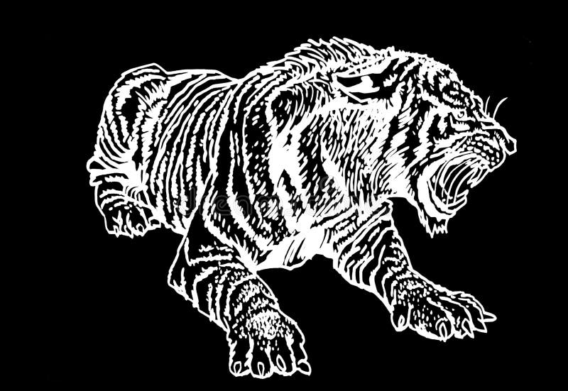 Graphical Hand-drawn Tiger Isolated on Black Background, Vector ...