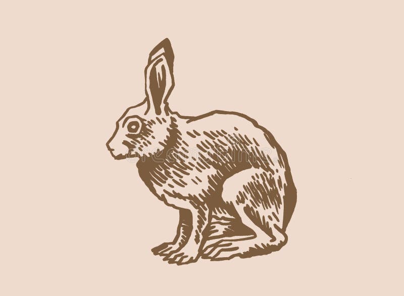 Graphical Hare , Sepia Background. Vector Drawing of Forest Animal ...