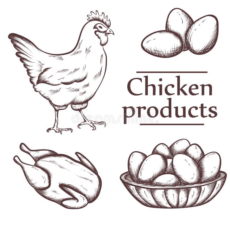 Graphical Illustration of Chicken Products with Inscription. Stock ...
