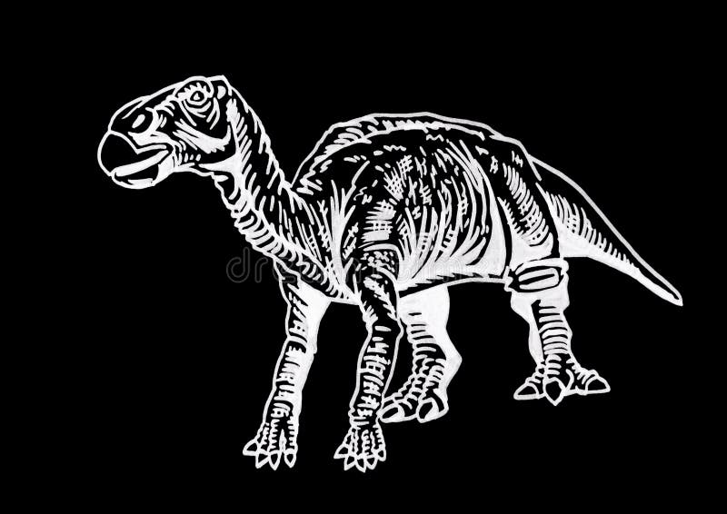 Graphical Illustration of Iguanodon Isolated on Black,phytophagous ...