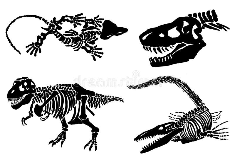 Graphical Illustration, Set of Dinosaur Skeletons Isolated on White ...