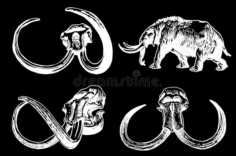 Illustration-skulls stock illustration. Illustration of pattern - 41849875