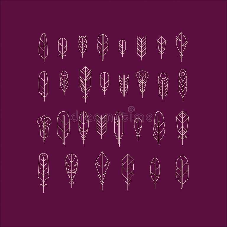 Graphical Line Feathers Set Stock Illustrations – 13 Graphical Line ...