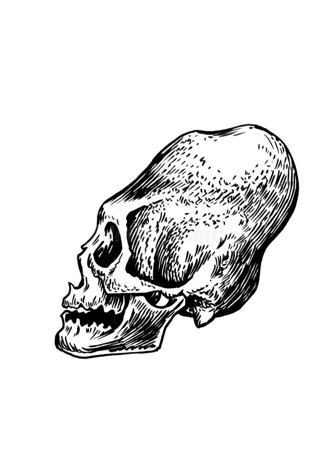 Mayan Skull Stock Illustrations – 389 Mayan Skull Stock Illustrations ...