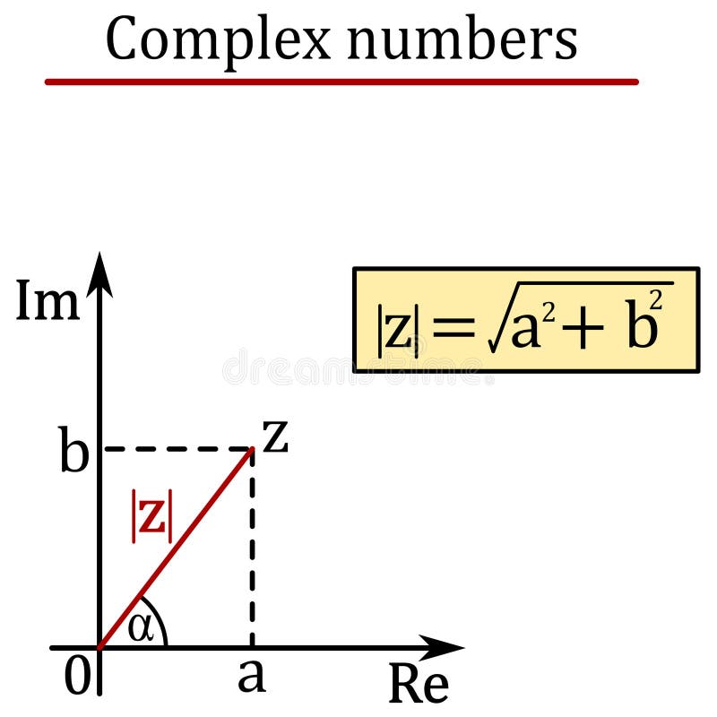 Graphical and Numerical Representation of the Absolute Value of a ...