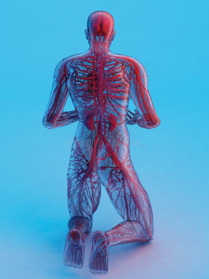 The human blood system stock illustration. Illustration of computer ...