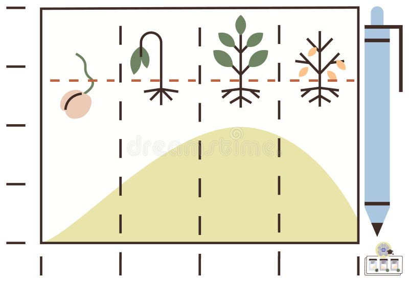 Graphical Representation of Plant Growth Stages and Lifecycle Evolution ...