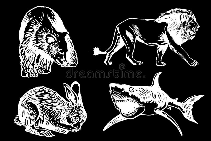 Graphical Set of Animals Isolated on Black Background,vector Engraved ...