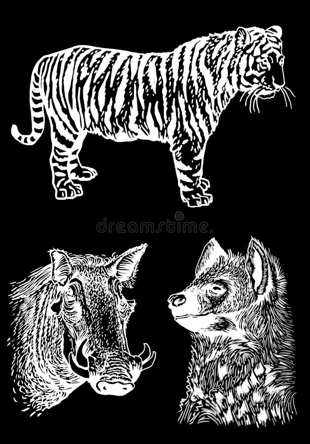 Graphical Set of Animals Isolated on Black Background,vector Engraved ...