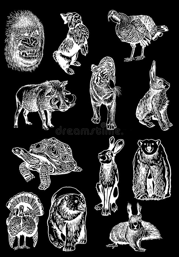 Graphical Set of Animals Isolated on Black Background,vector Engraved ...