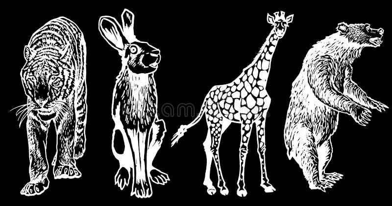 Graphical Set of Animals Isolated on Black Background,vector ...