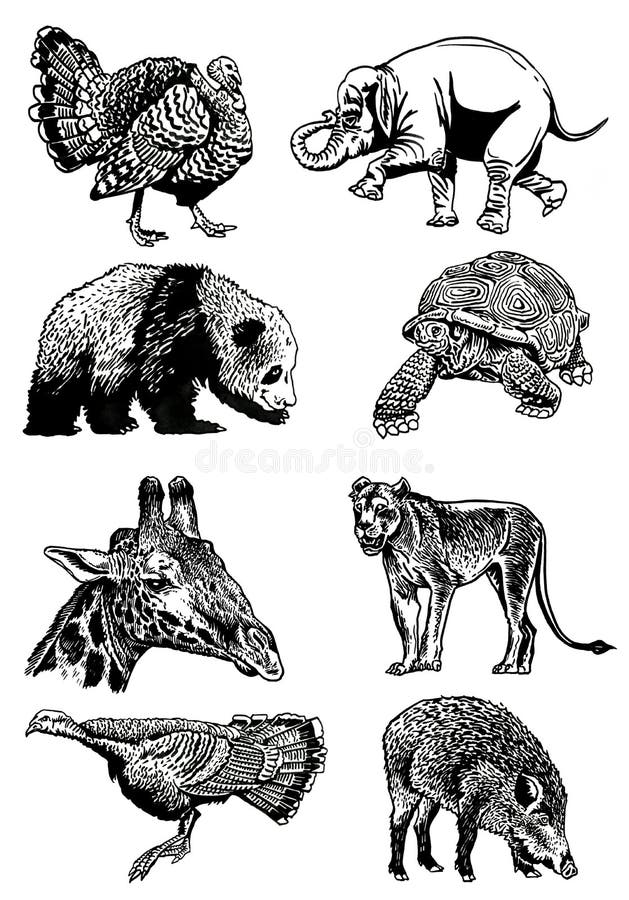 Graphical Set of Animals Isolated on White Background,vector ...