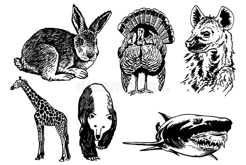 Graphical Set of Animals Isolated on White Background,vector ...