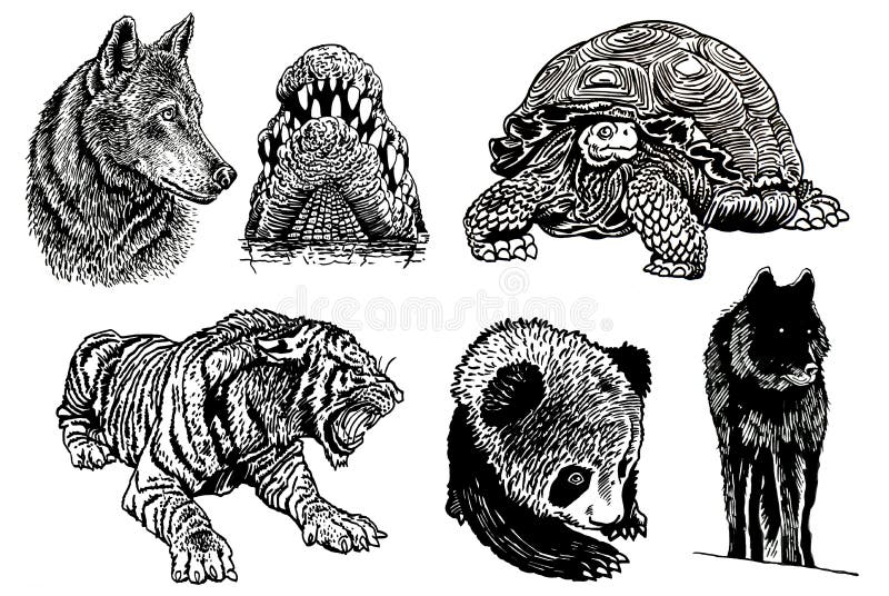 Graphical Set of Animals Isolated on White Background,vector ...