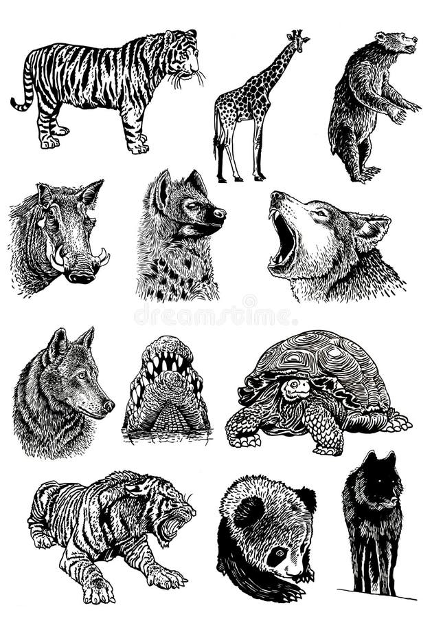 Graphical Set of Animals Isolated on White Background,vector ...
