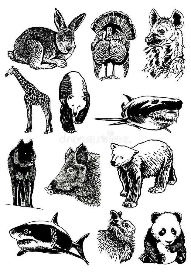 Graphical Set of Animals Isolated on White Background,vector ...
