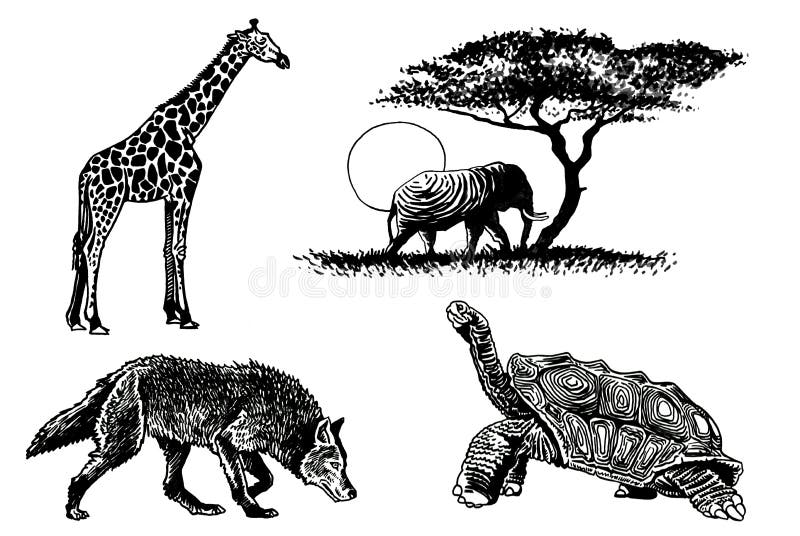 Graphical Set of Animals Isolated on White Background,vector ...