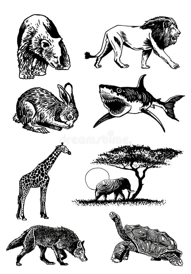 Graphical Set of Animals Isolated on White Background,vector ...