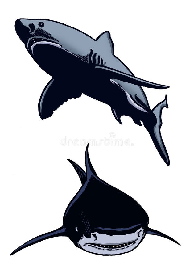 Graphical Set Blue Sharks Isolated on White Background, Vector Color ...