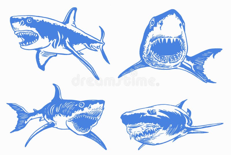 Graphical Big Set of Blue Sharks and Jaws Isolated on White Background ...