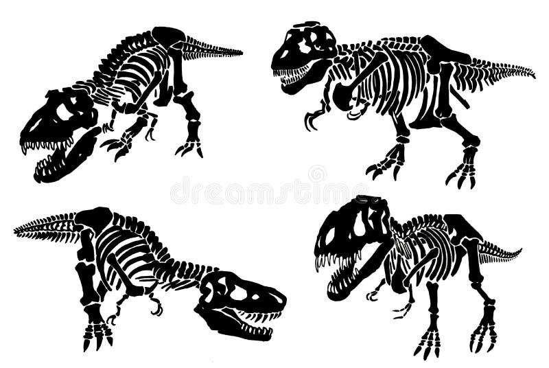 Graphical Set of Dinosaur Skeletons Isolated on White Background,vector ...