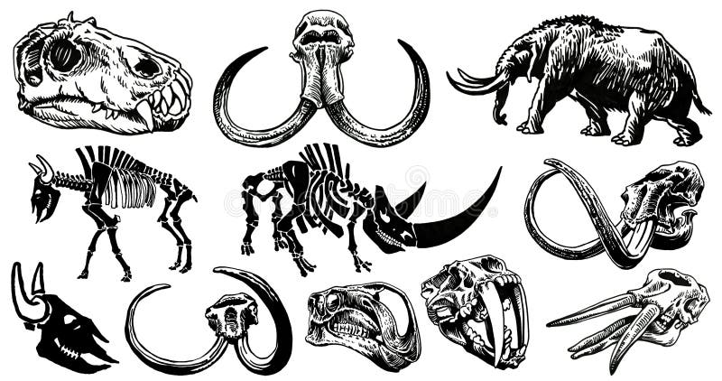 Graphical Set of Mammoth Skeletons and Skulls Isolated on White ...