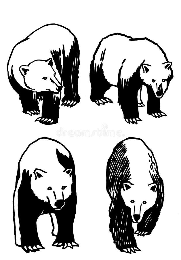 Graphical Set of Polar Bears Isolated on White Background,vector ...