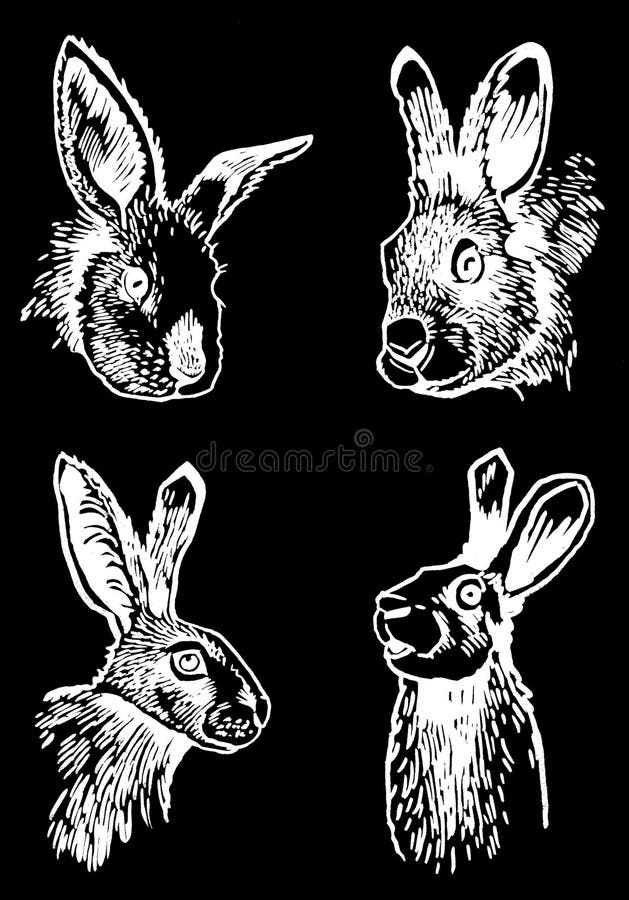 Graphical Set of Portraits of Bunnies Isolated on Black,vector Elements ...