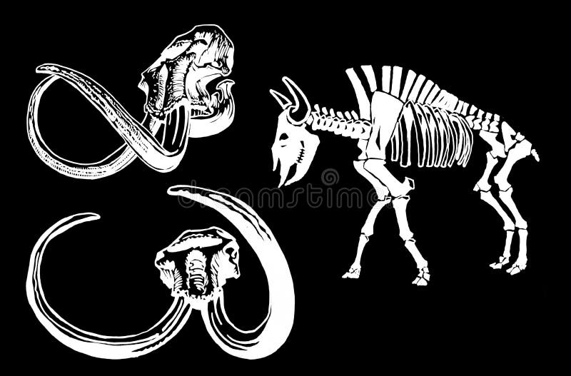 Mammoth Skeleton Vector Stock Illustrations – 193 Mammoth Skeleton ...