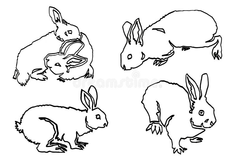 Graphical Set of Sketches of Rabbits, Doodle Illustration Bunny ...
