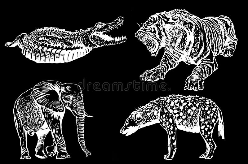 Graphical Set of Wild Animals Isolated on Black Background. Editorial ...