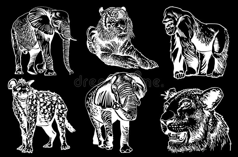 Graphical Set of Wild Animals Isolated on Black Background. Stock ...