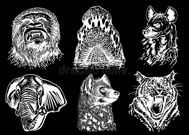 Graphical Set of Wild Animals Isolated on Black Background. Stock ...