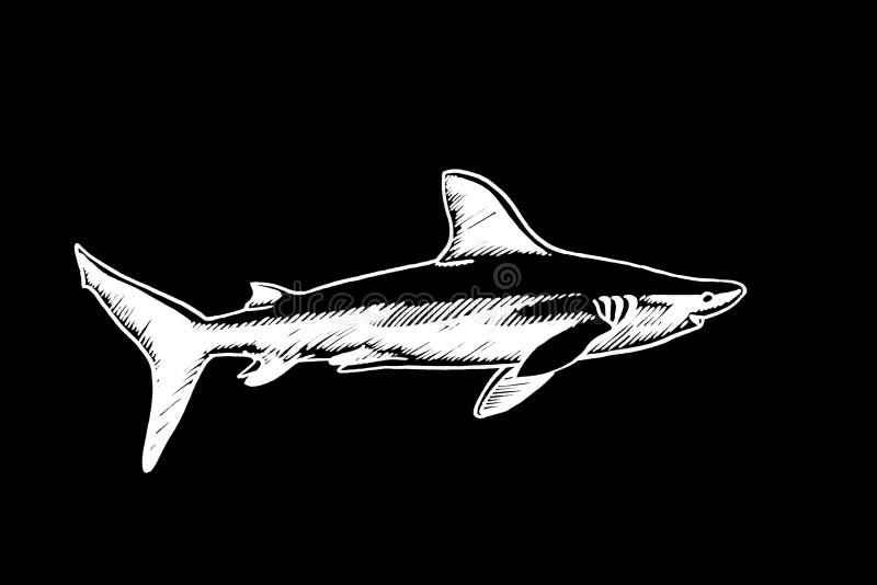 Fish Vector Tattoo Graphical Style Stock Illustrations – 39 Fish Vector ...