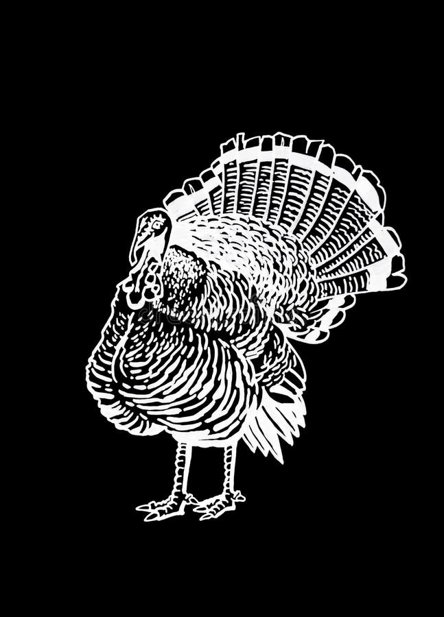 Graphical Turkey on Black, Farmbird , Element for Thanksgiving Stock ...