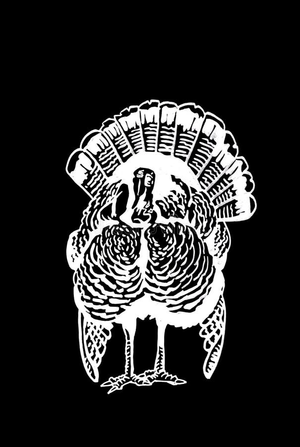 Graphical Vector Turkey on Black Background, Domestic Bird ...