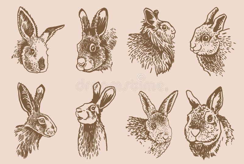 Graphical Vintage Set of Portraits of Bunnies ,vector Elements. Hand ...