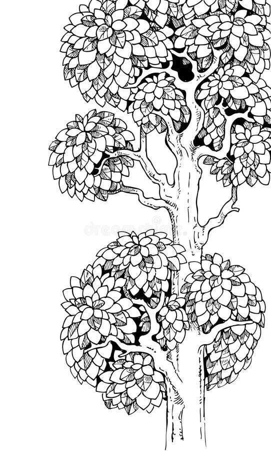 Graphically Black Ink Tree with Bushy Branches Isolated on White Stock ...