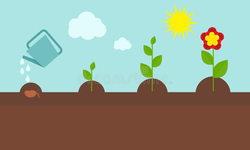 Plants Growing Infographic Plants Growing Process Plants Growth Stages ... Plants Growing Infographic Plants Growing Process Plants Growth Stages ...