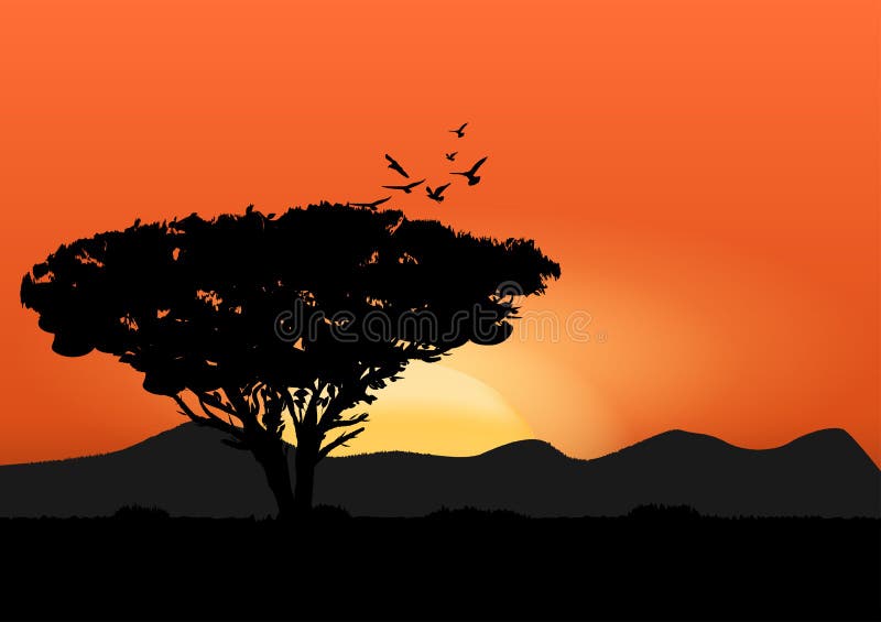 Graphics Image Landscape View Nature Sunset and Light Orange Silhouette ...